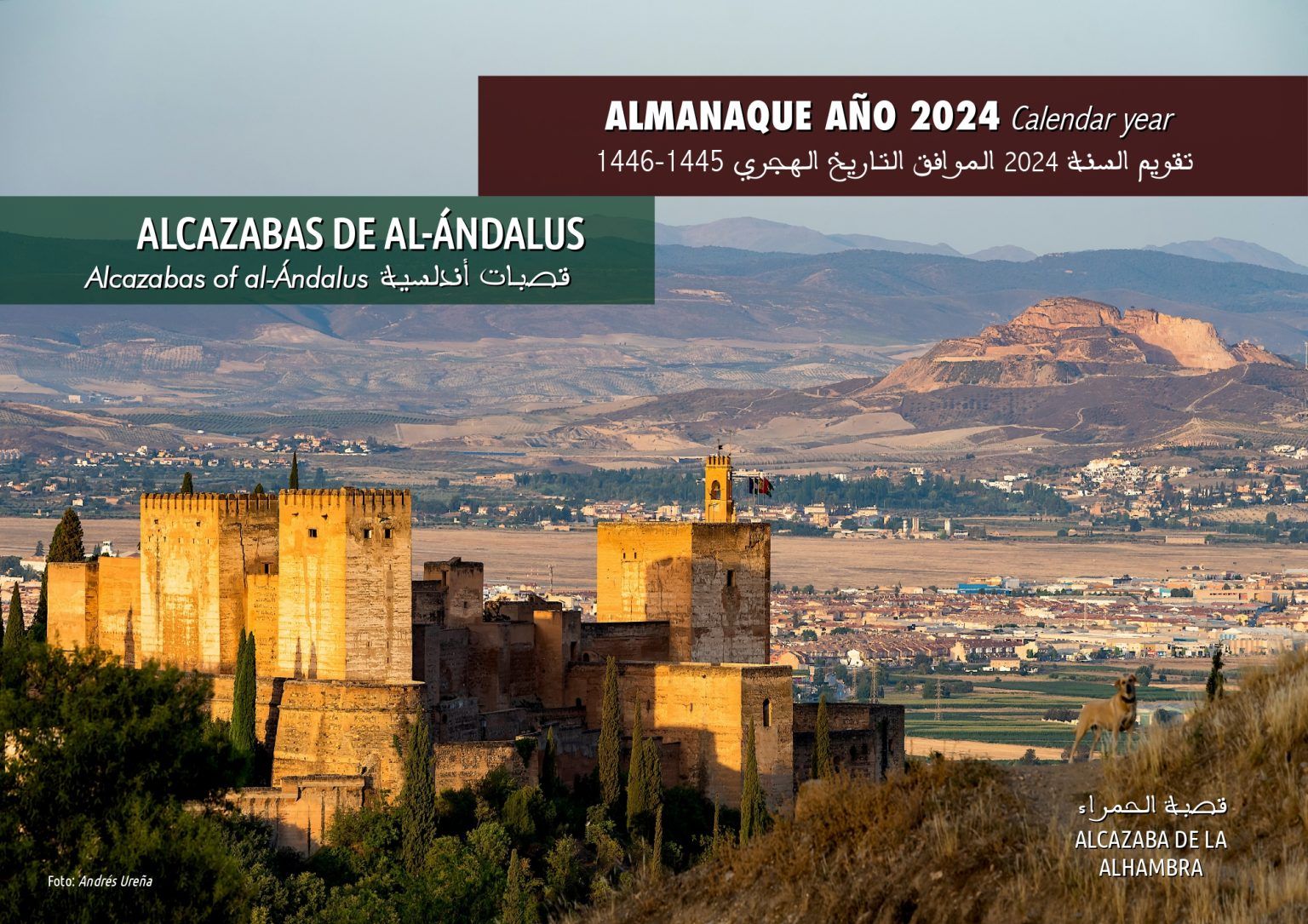 Descubriendo la historia a través de las Alcazabas: Revista-Almanaque ...